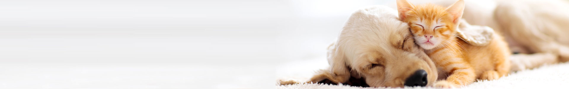 Pets – Maxima Nutrition